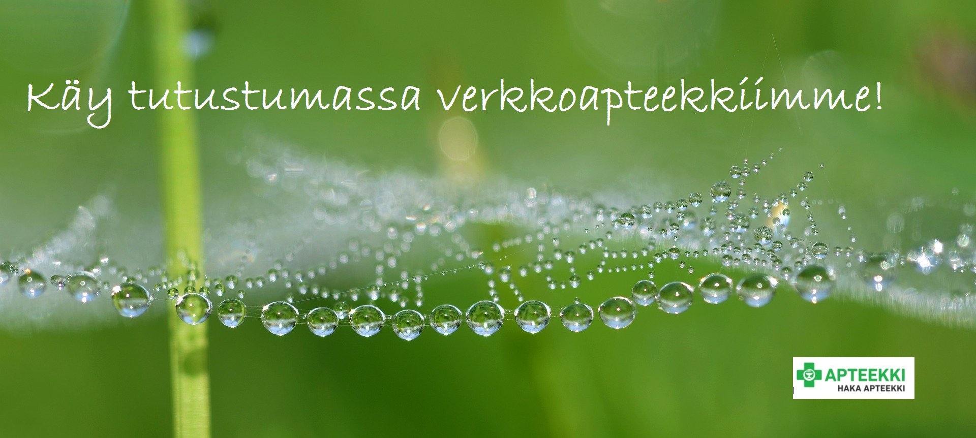 Haka-apteekki | Prisma Kaleva, Sammonkatu 75, Tampere